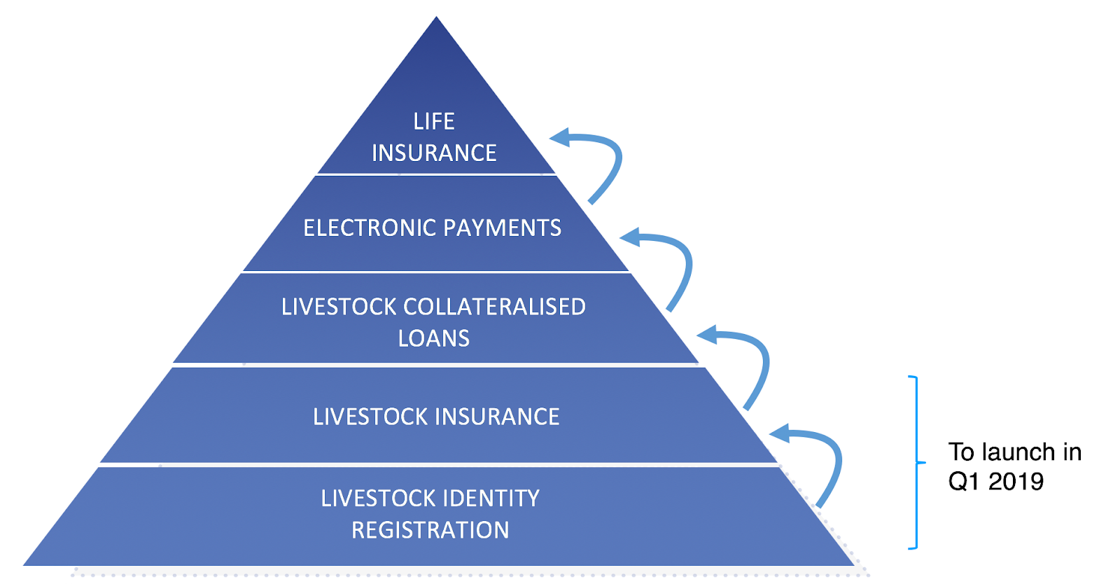 Sentinel Chain Explained — SENC. The Who, What, When, Why, How of SENC ...
