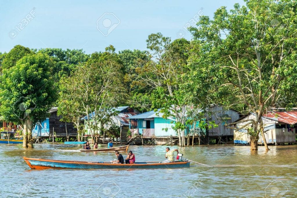The Amazonas. The Amazonas is one of the largest rain… | by Liliana ...