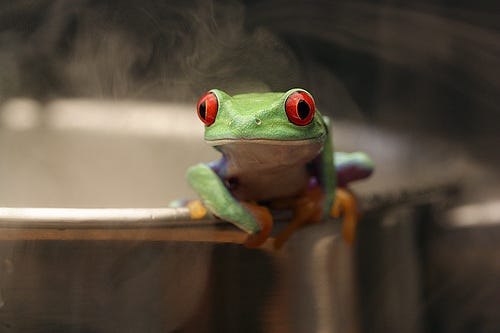 We’re All Frogs Boiling in Water | by Mark Suster | Both Sides of the Table