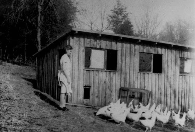 Historic Hen / Brooder Houses Shed-Style Roof (esp. 1930’s & 1940's ...