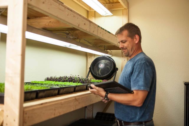 Other people’s microgreens grow racks & lights | by New Farmer, QC ...
