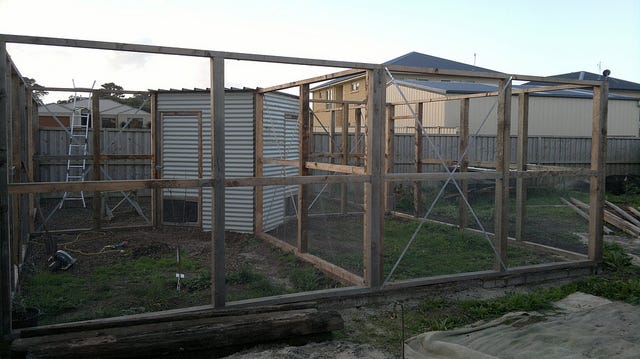 Pastured chicken paddock rotation system | by New Farmer, QC | new ...