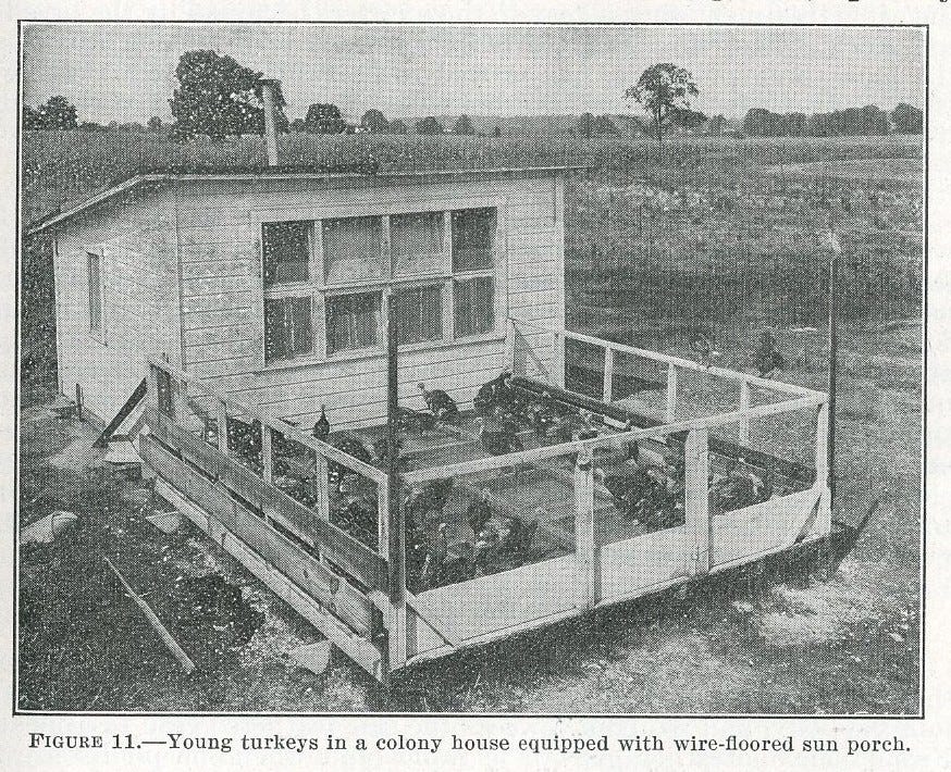 Historic Hen / Brooder Houses Shed-Style Roof (esp. 1930’s & 1940's ...