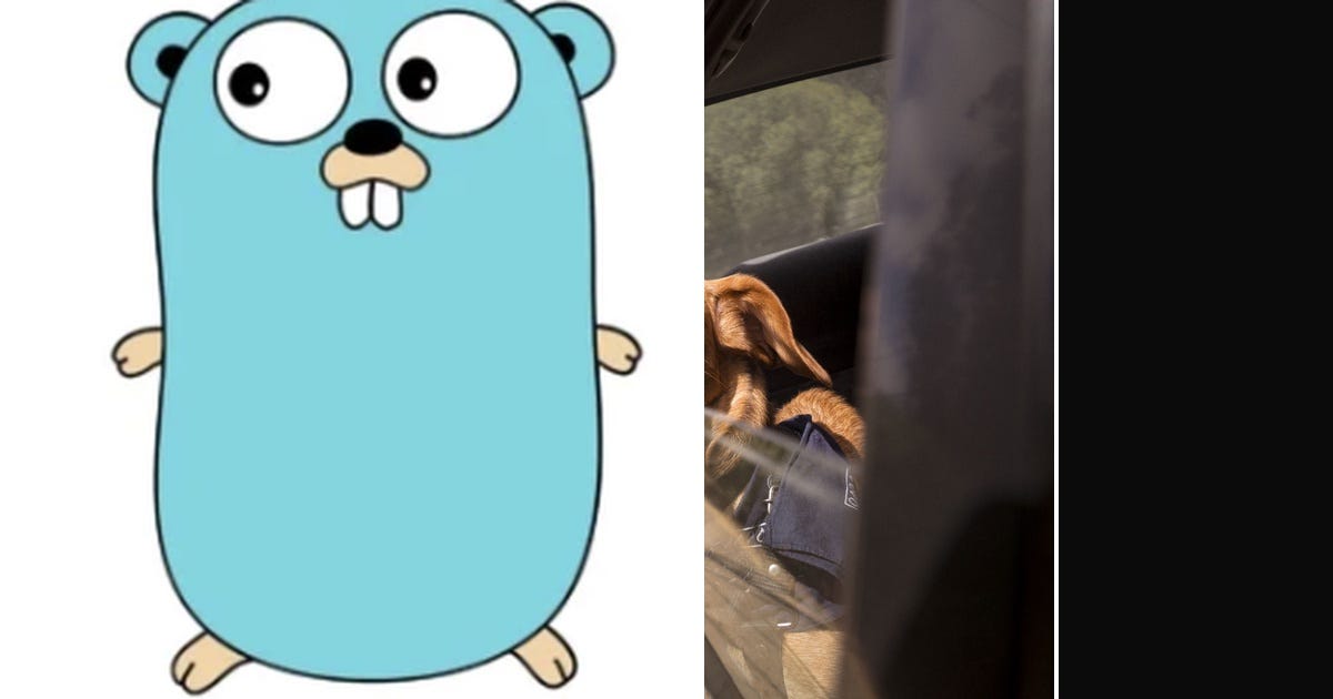 List: Golang | Curated by Gershom Rogers | Medium