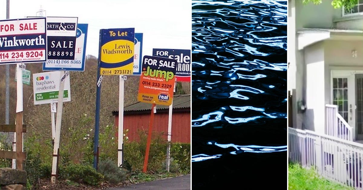 List: Jared Brock | Curated by Amy Vaya | Medium