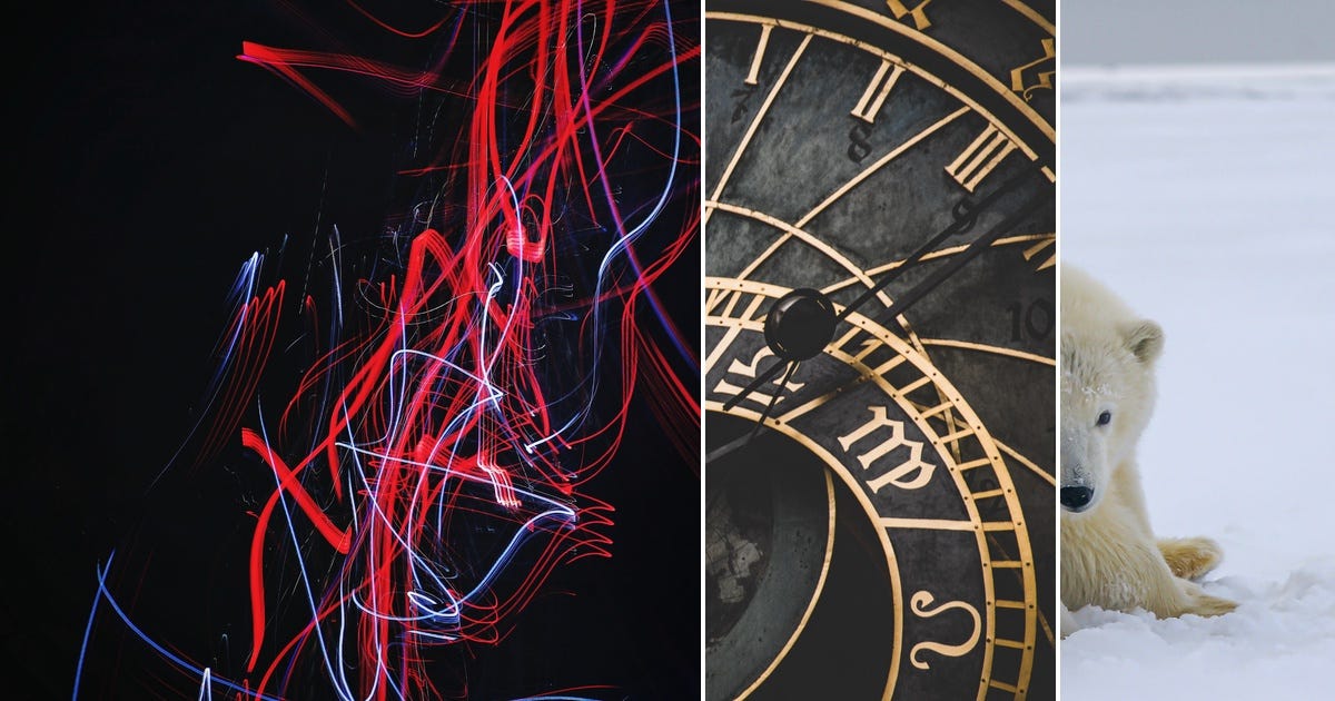 300+ stories about capture curated by Mat Brunt - Medium