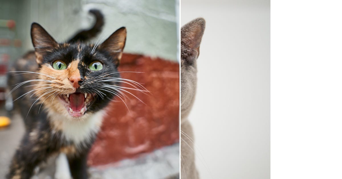 13 stories about Managing & team curated by Aviv Yogev - Medium