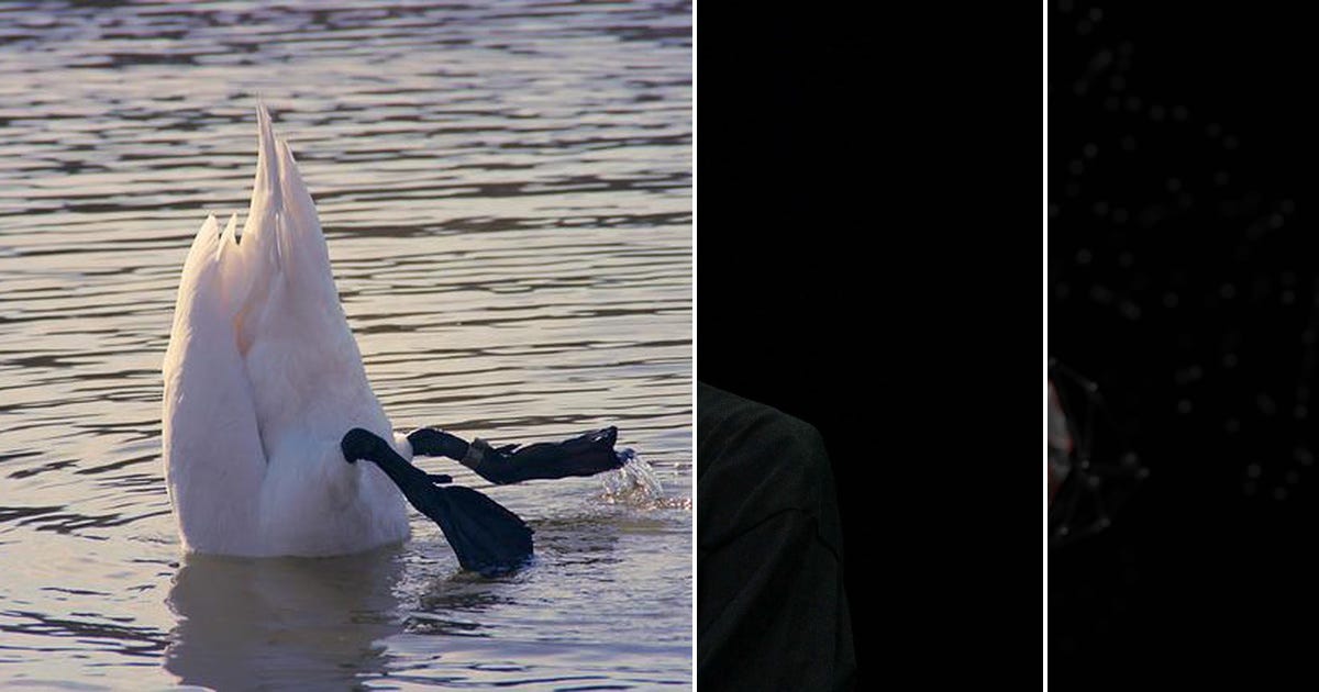 5 stories about Wolf Bank curated by Andre Pemmelaar - Medium