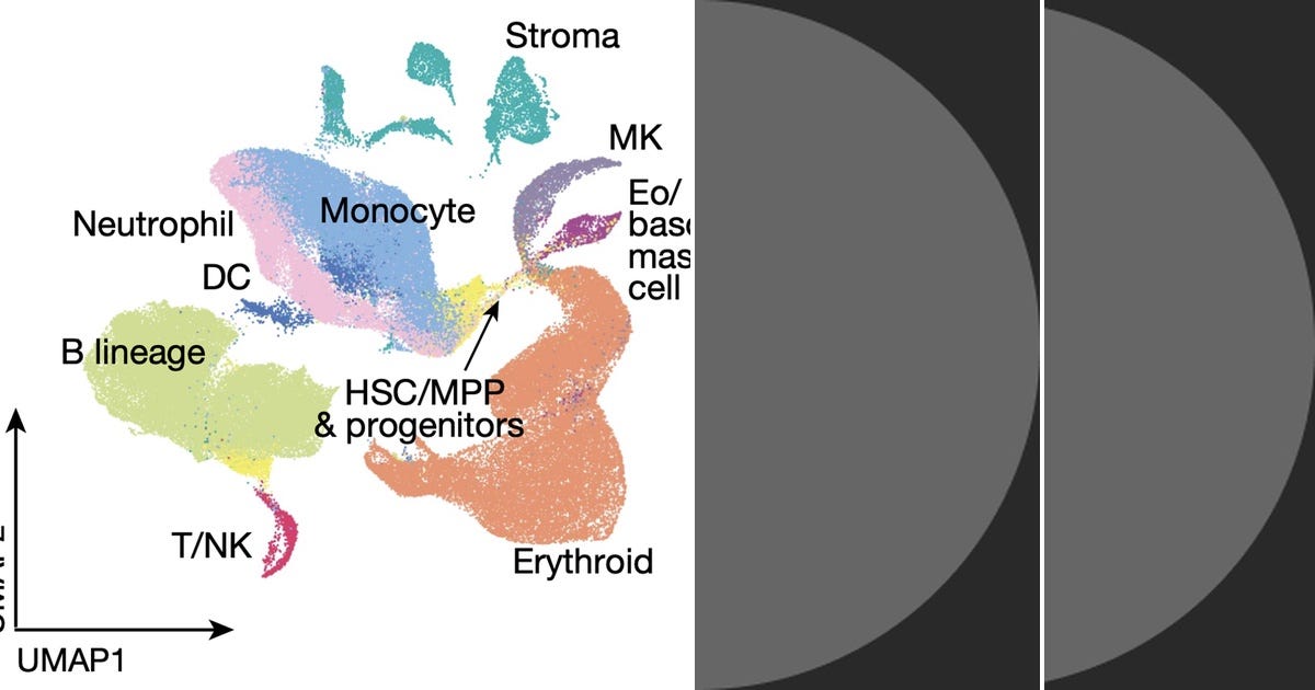 4 Stories About Single Cell Data Analysis Curated By Min Dai Medium