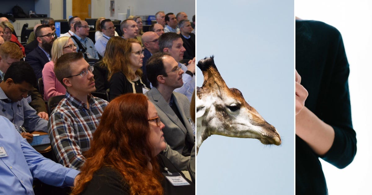 List: org dev | Curated by David Bey | Medium