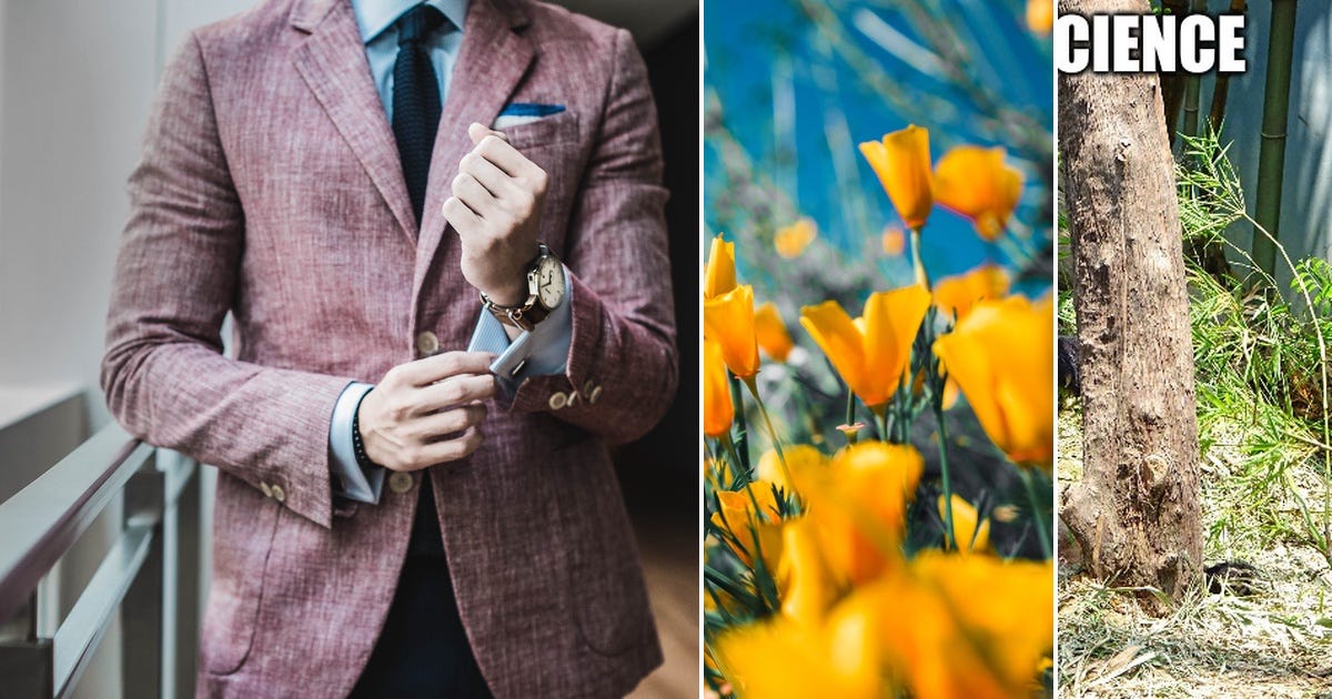 7 stories about Pandas curated by Yvon Bilodeau - Medium