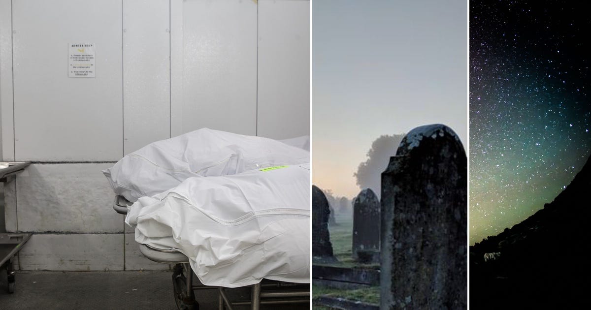 3 stories about Mortality curated by Kailee Calder - Medium