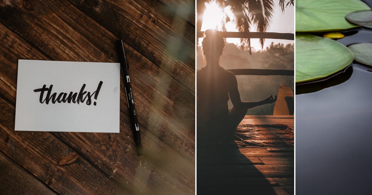 List: Manifestation | Curated by LET ZIA | Medium