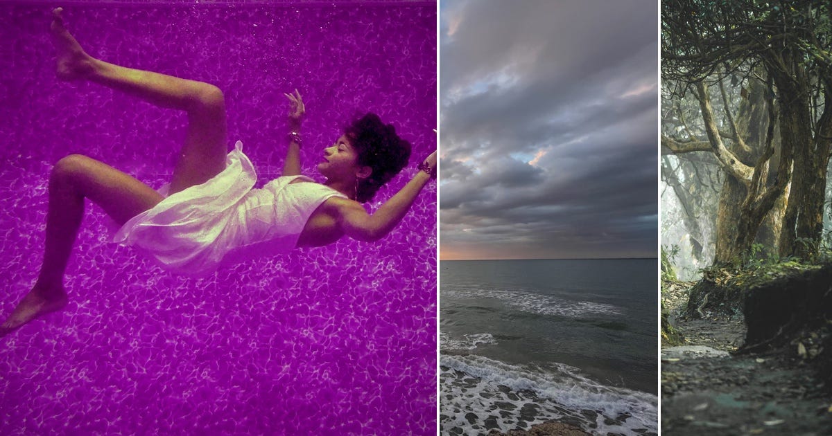 3 stories about Life on Earth curated by Tom Cronje - Medium