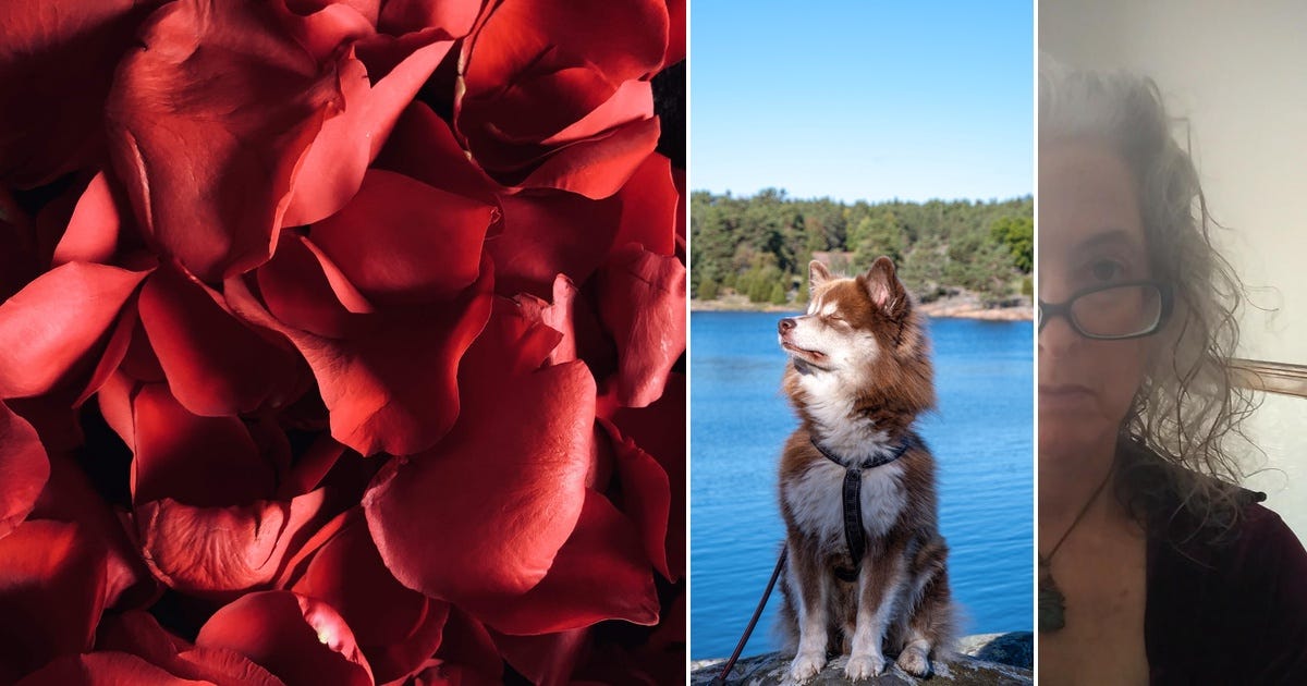 List: Relationships | Curated by Jill Eng | Medium