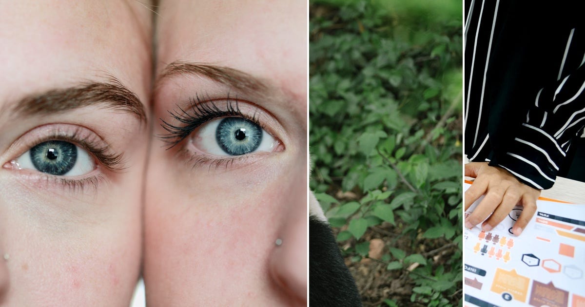 List: pandas | Curated by Roderick Spells | Medium