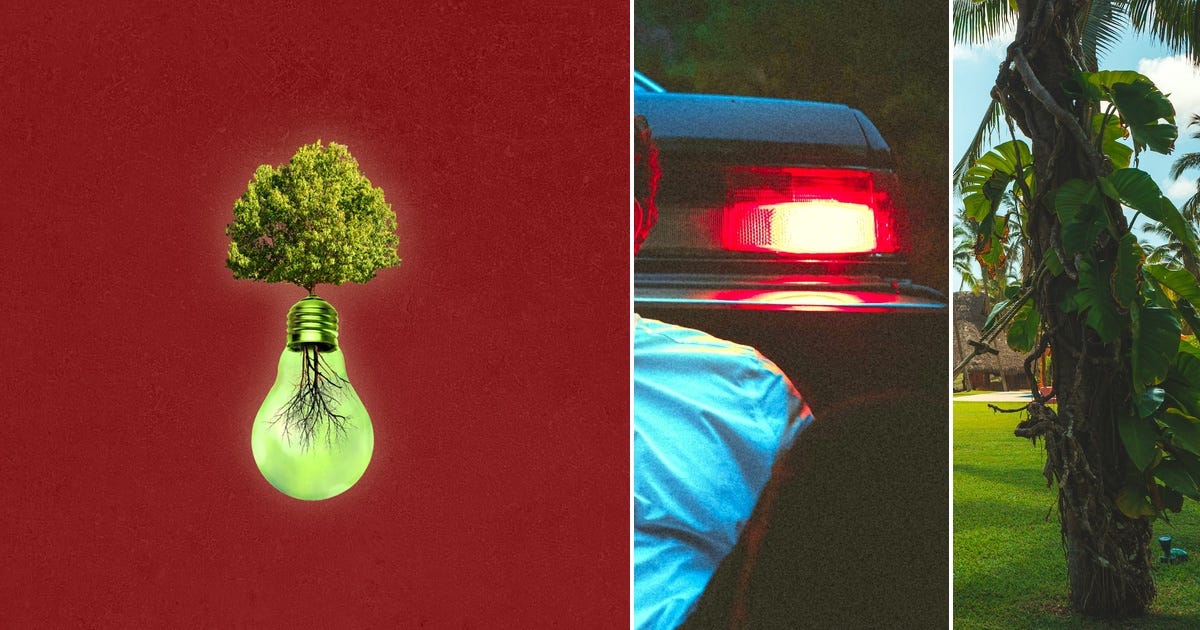 3 stories about Articles that hit 👊🏼 curated by Danny Hindmarsh - Medium