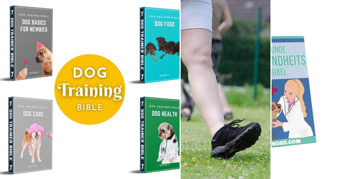 5 stories about Pets curated by Daniel Schick - Medium