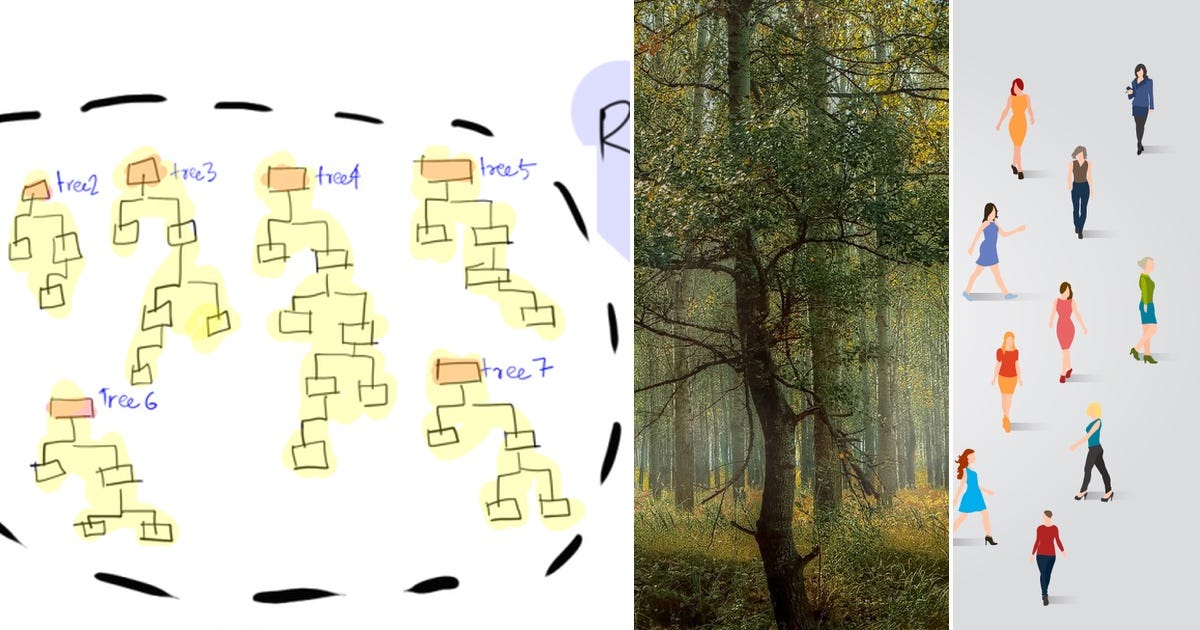 3 stories about Classification curated by Stephanie - Medium