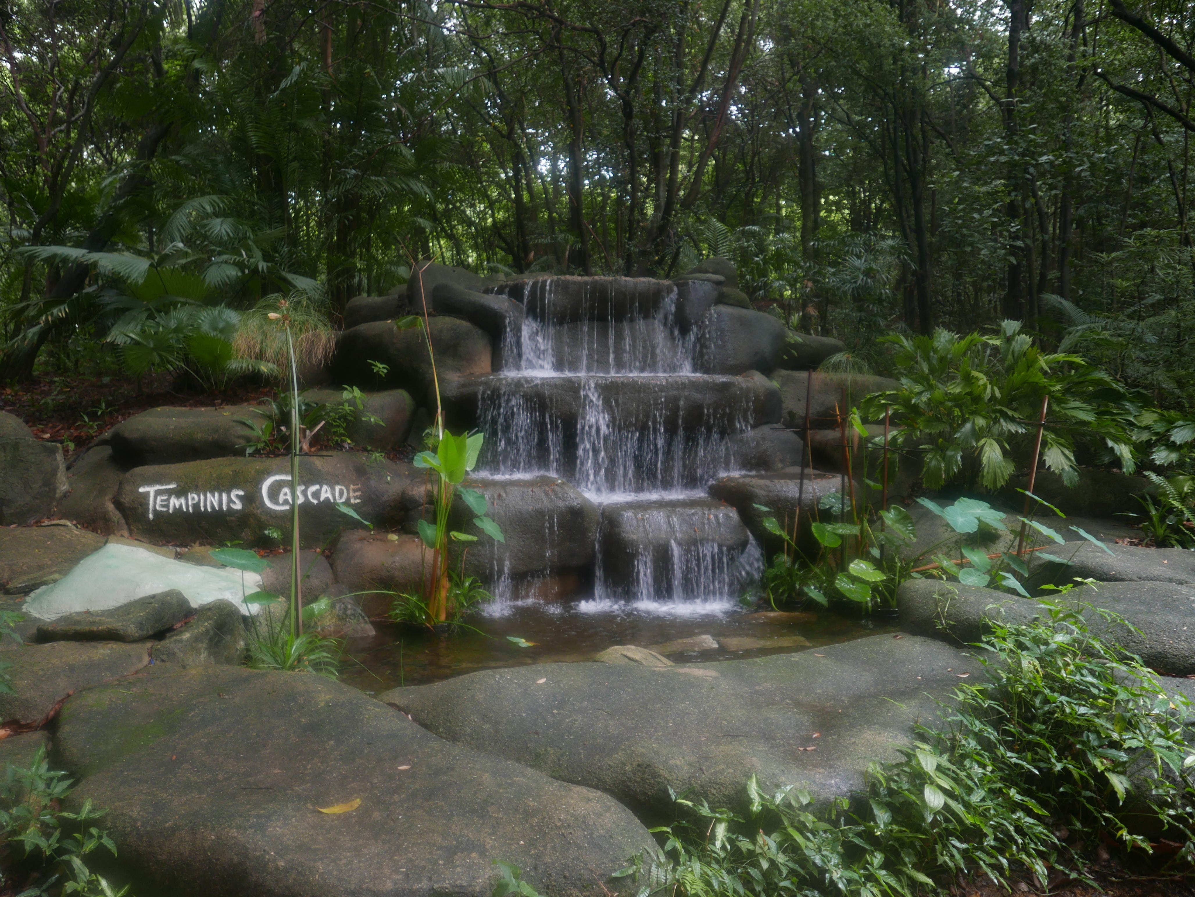 Singapore — Imbiah Trail, Sentosa, Singapore | by Nick’s Wanderings ...