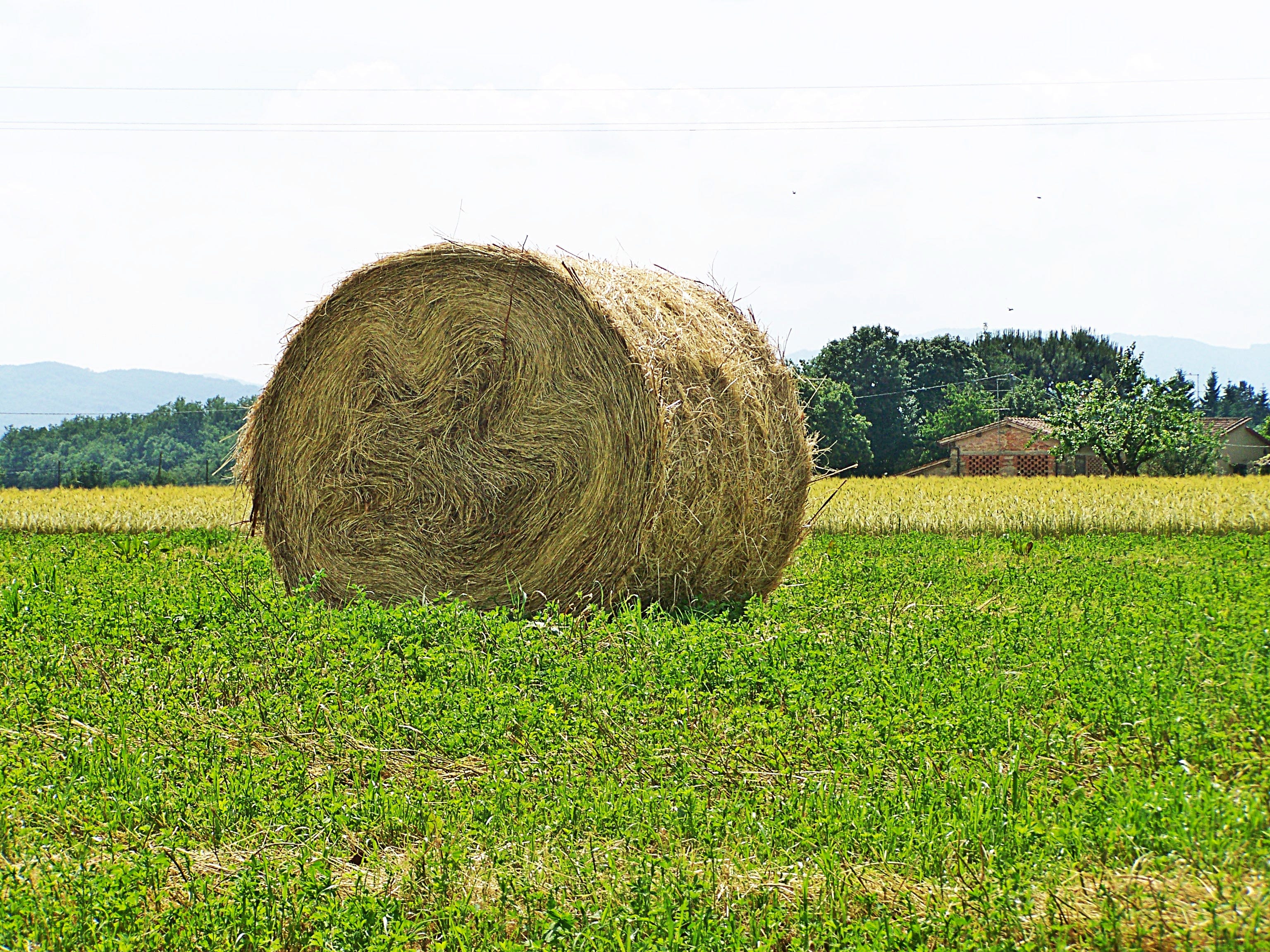 Things will Change (2014). Together we will build an Internet of… | by Erica Windisch | Medium