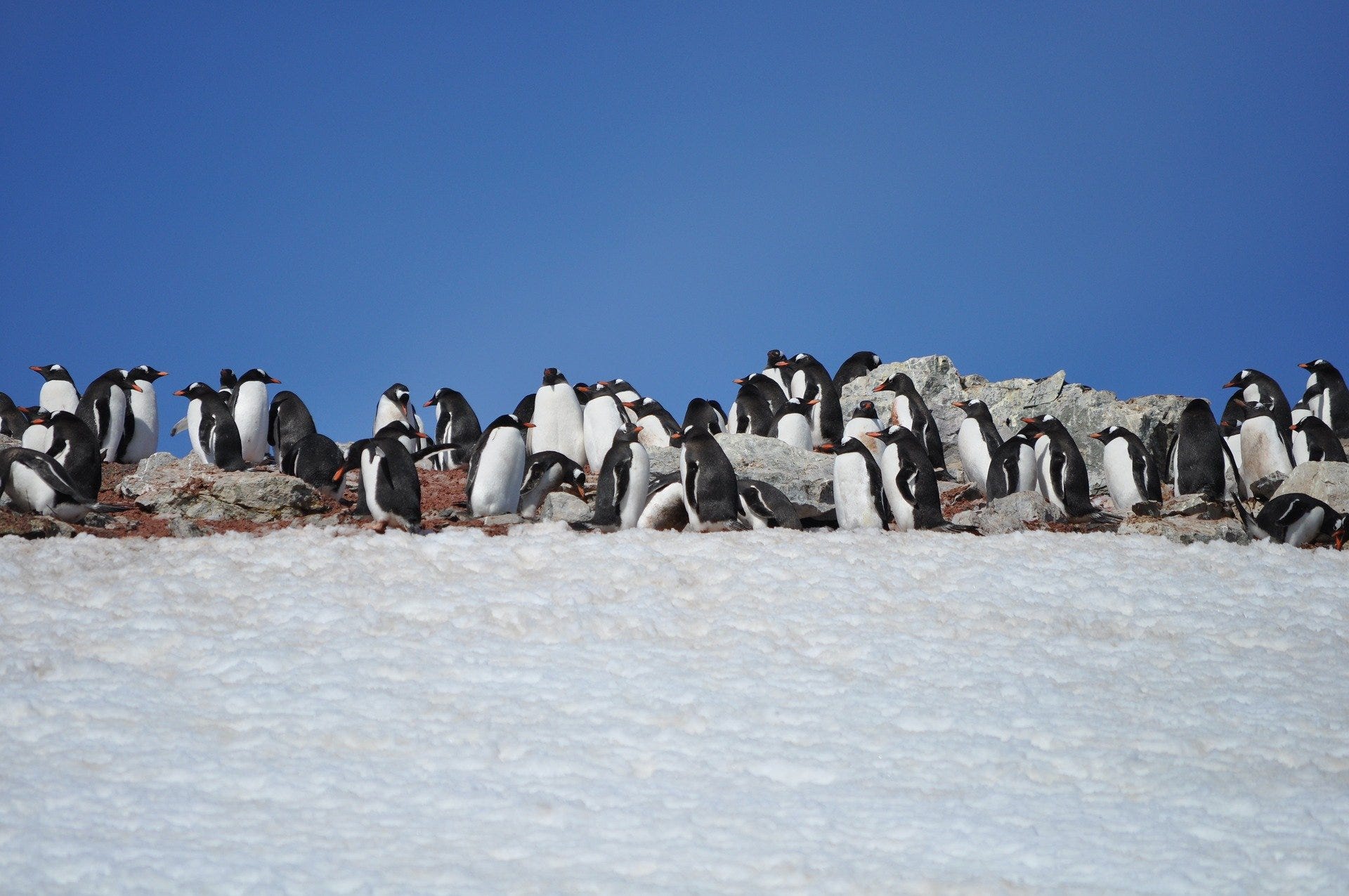 Sidetable The New Python Pandas Package Towards Data Science