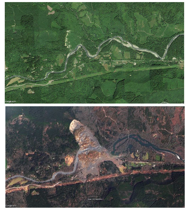 What a Mysterious Forest Shaped Like Minnesota Taught Me About Time ...