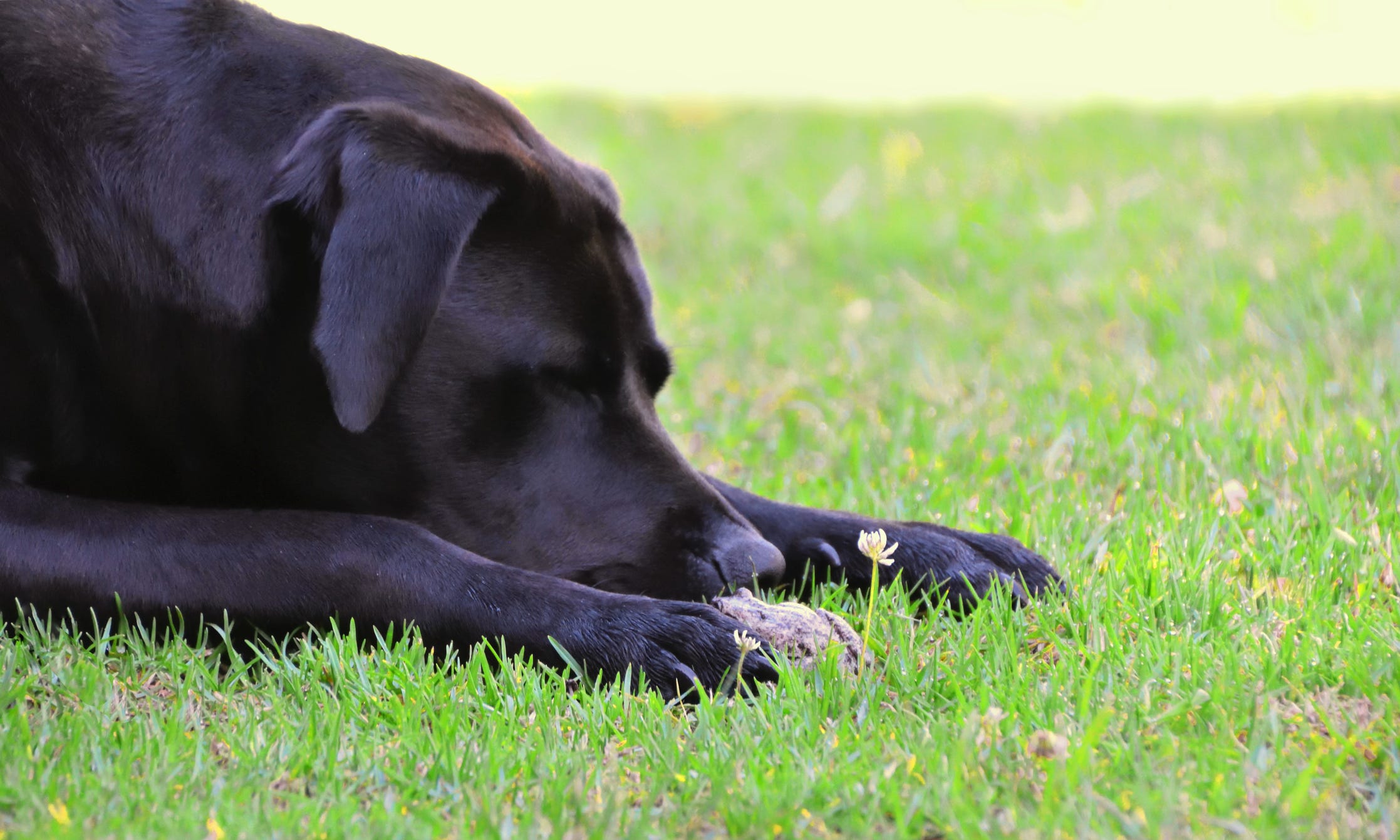 Angela Gallo: Master Doula And Womb Witch - Holisticism - Medium