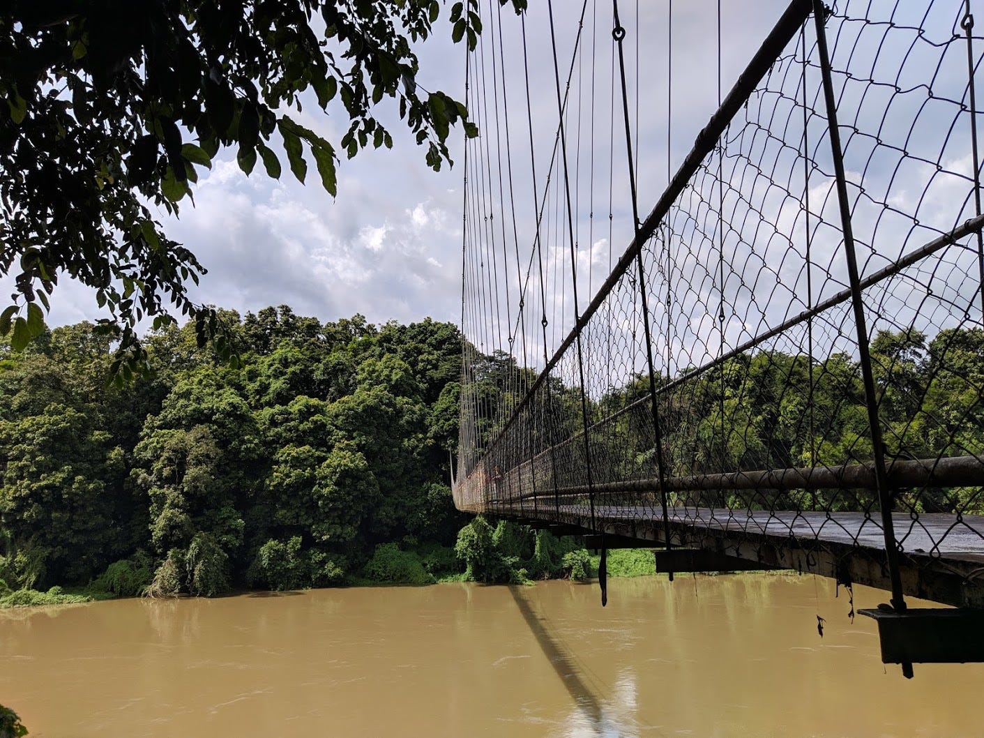 Nilambur- A quick monsoon adventure | by Hari Govind P K | PaperKin ...