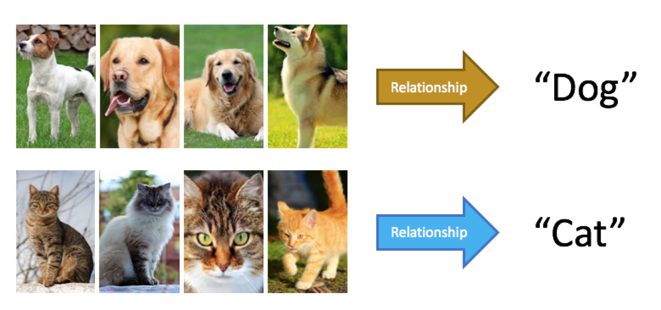 Machine Learning. In this article we will explore what… | by Branav Kumar Gnanamoorthy | Medium