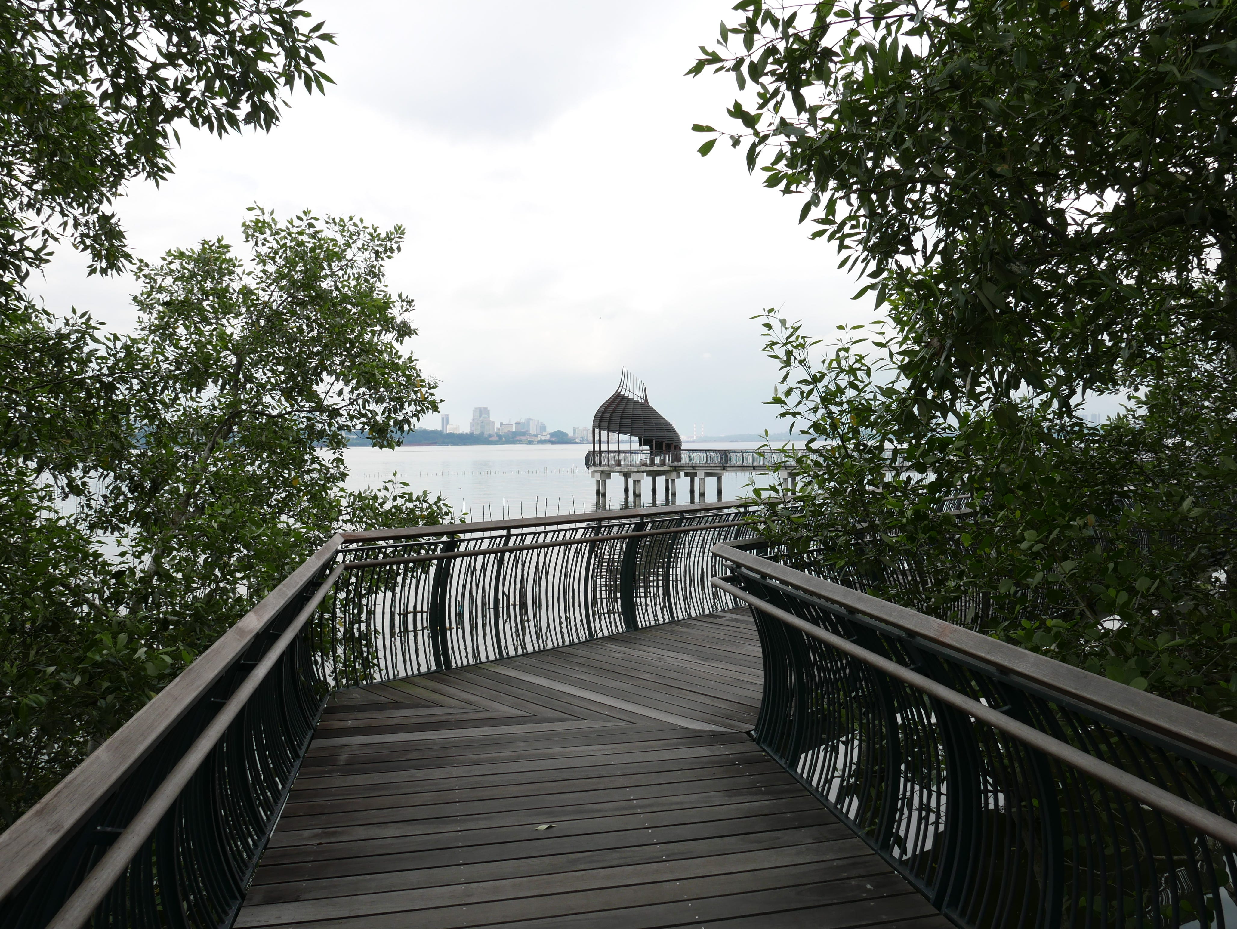 Singapore — Another visit to Sungei Buloh Wetland Reserve, Singapore ...