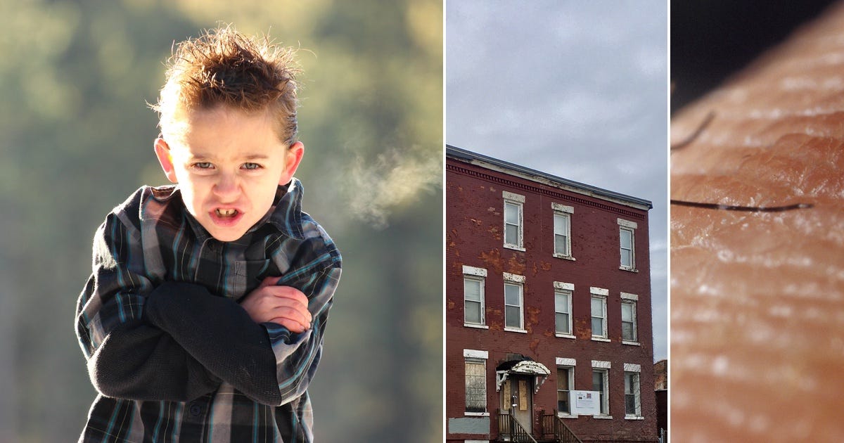 List: Creative Nonfiction | Curated by Text and Image Creator Matthew Bamberg | Medium