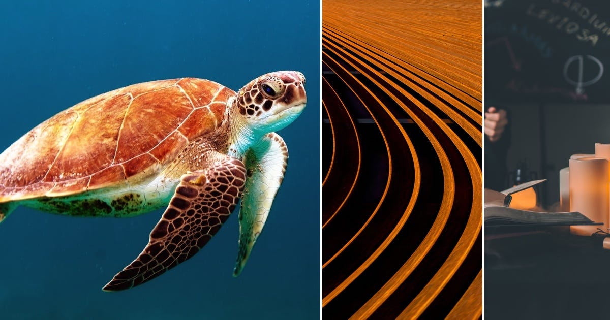 List Time Series Anomaly Curated By Megha Lokanadham Medium