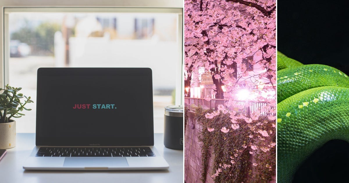 List: Python and Sql | Curated by Mamidiprudhviteja | Medium