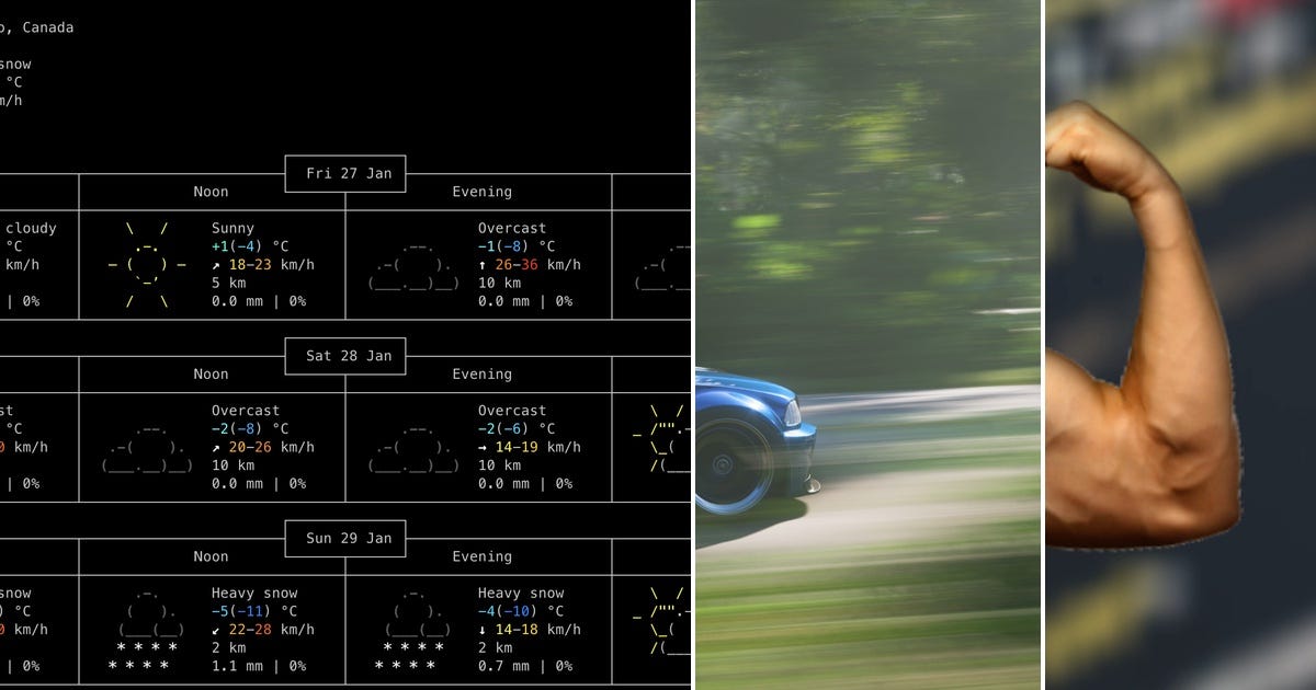 List: Bash | Curated by Patrick Kristensen | Medium