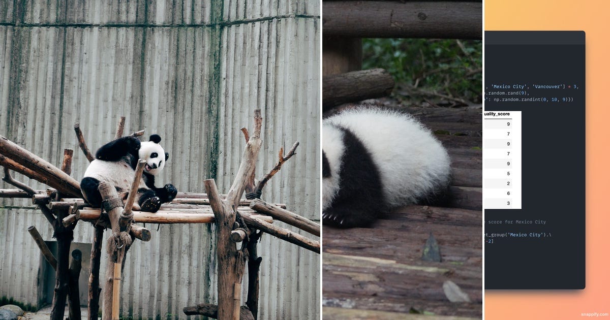 List: Pandas | Curated by Maurice Passmore | Medium