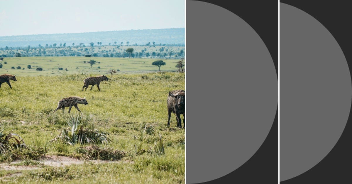 List: Simulations | Curated by Learning Hyperdrive | Medium