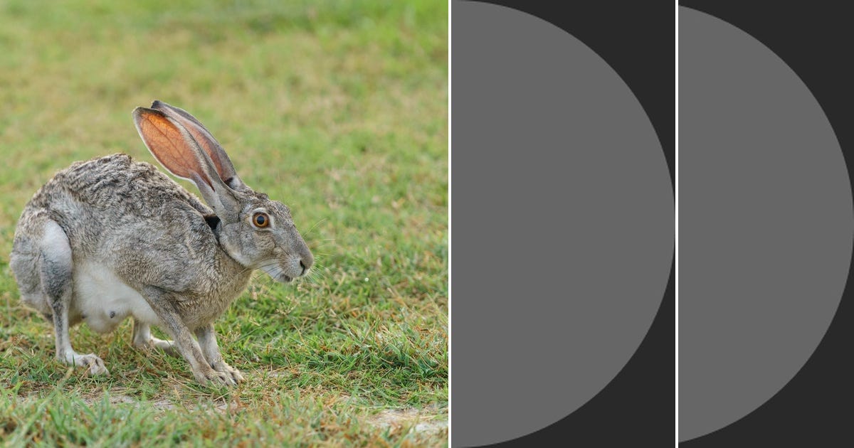 List: Code Smells | Curated by Maximiliano Contieri | Medium