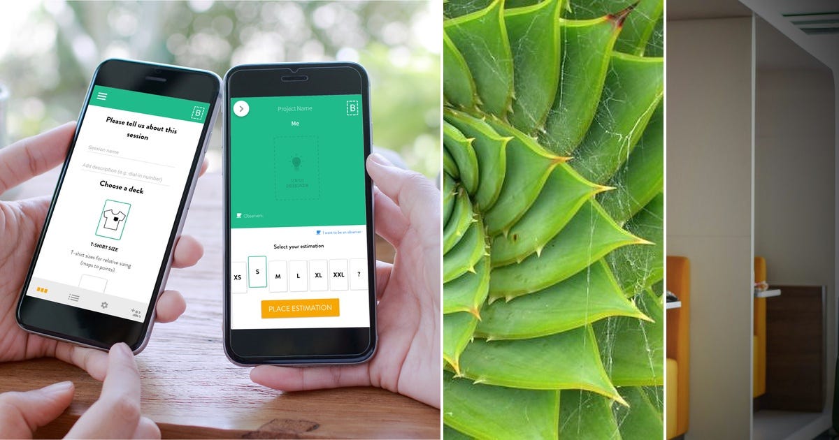 List: Task Management Software | Curated by Momo Shiggles | Medium