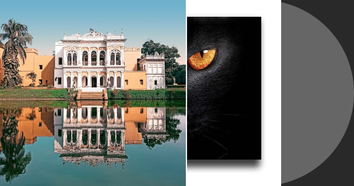 List: Short Stories | Curated by Fable Phoenix | Medium