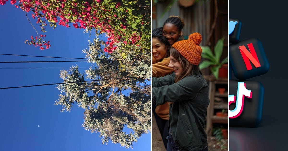 List: PULSE | Curated by Shaunn Wyche | Medium