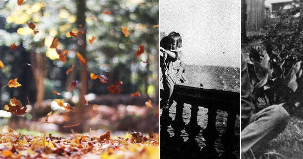 List: Fitzgerald on Friday Series | Curated by Carla Calvert | Medium