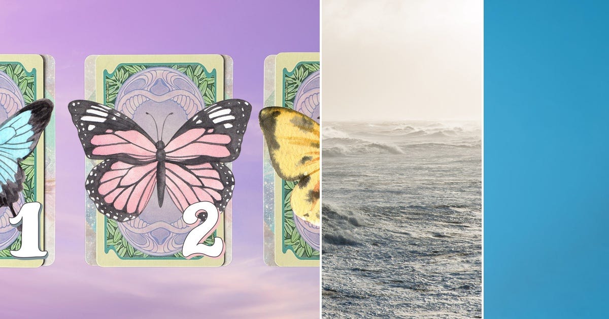 List: Special | Curated by Sofía | Medium