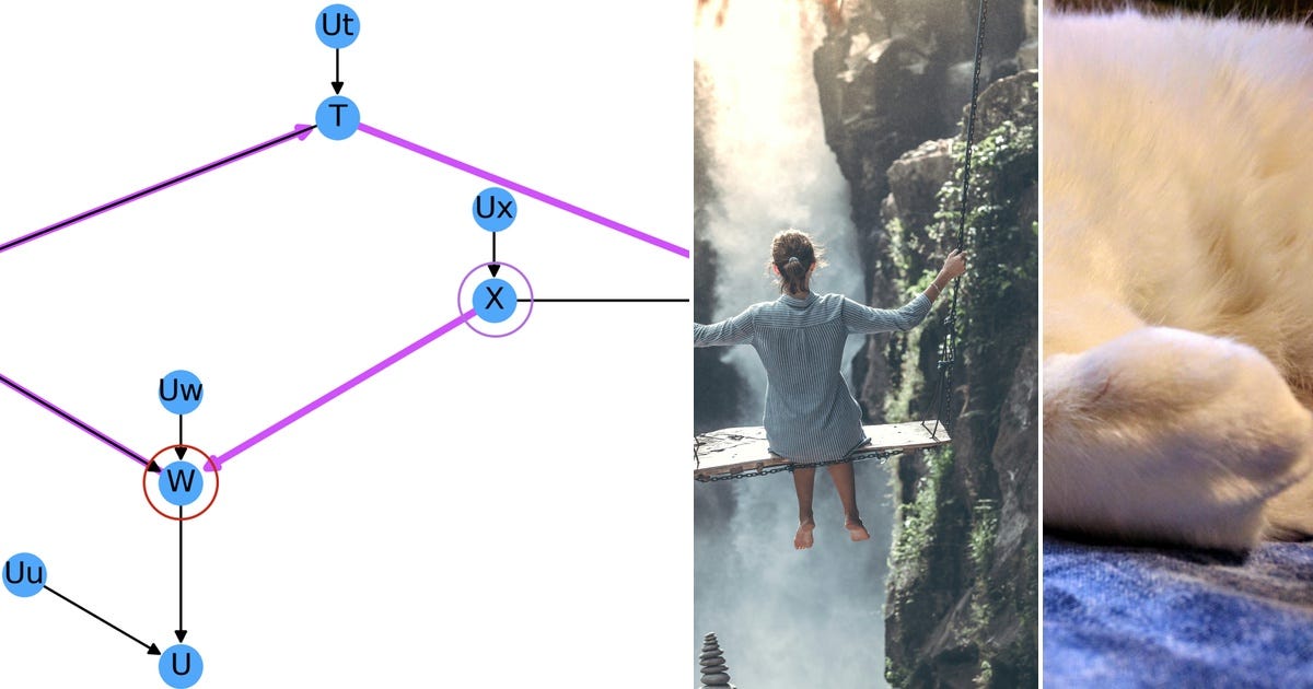 List: Causal Inference | Curated by Lucas Muster | Medium