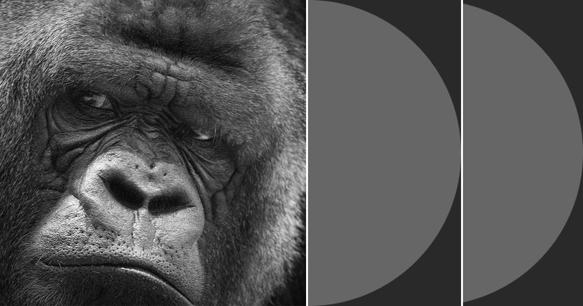 List: SSL - Cert | Curated by Alberto | Medium