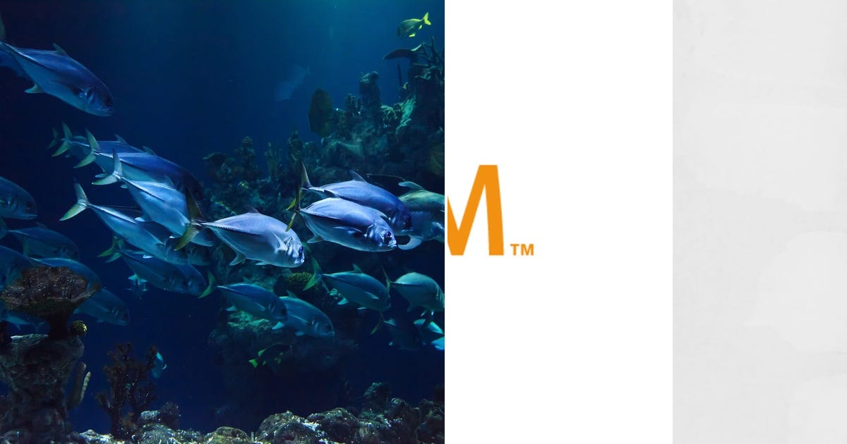 List: Spring | Curated by Jonathan Chevalier | Medium