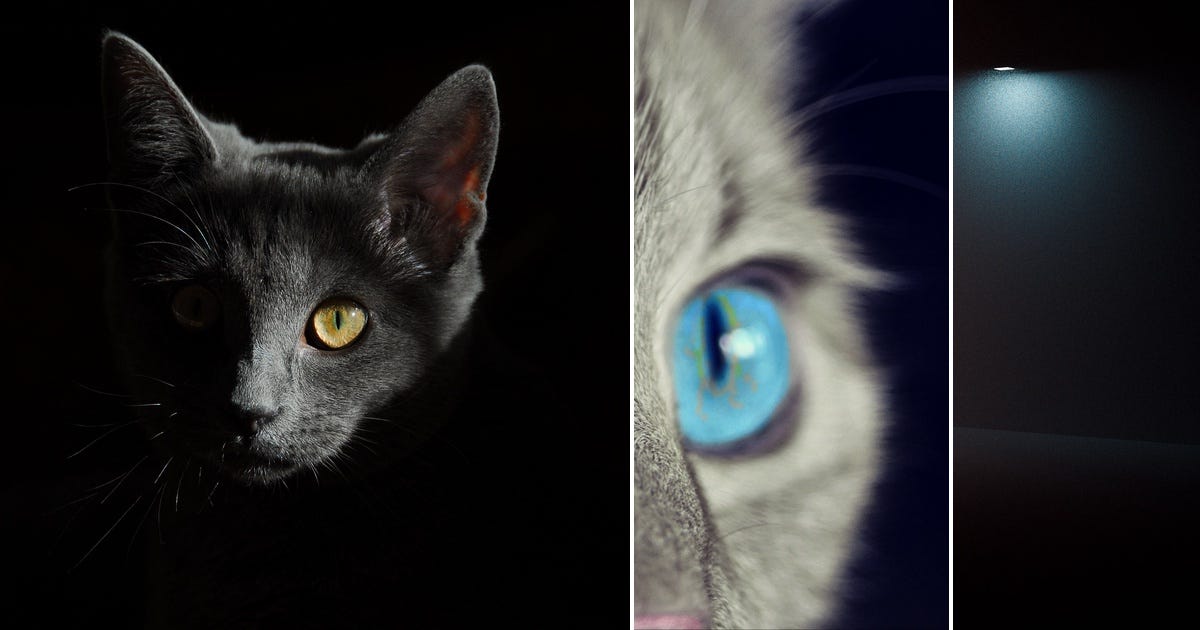 List: Nest.js | Curated by kidate kwon | Medium