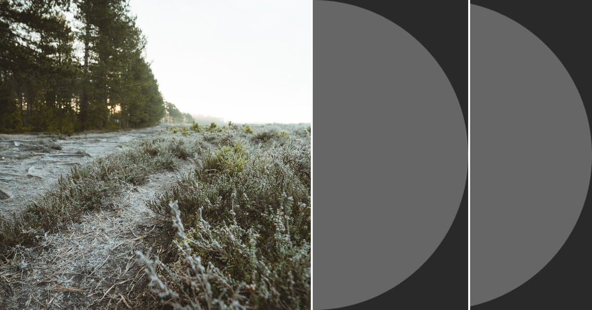 List: map | Curated by noone | Medium