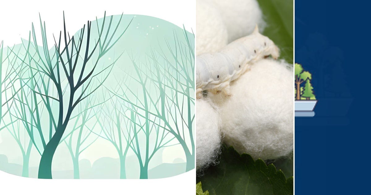 List: Climate & Sustainability | Curated by Jake | Medium