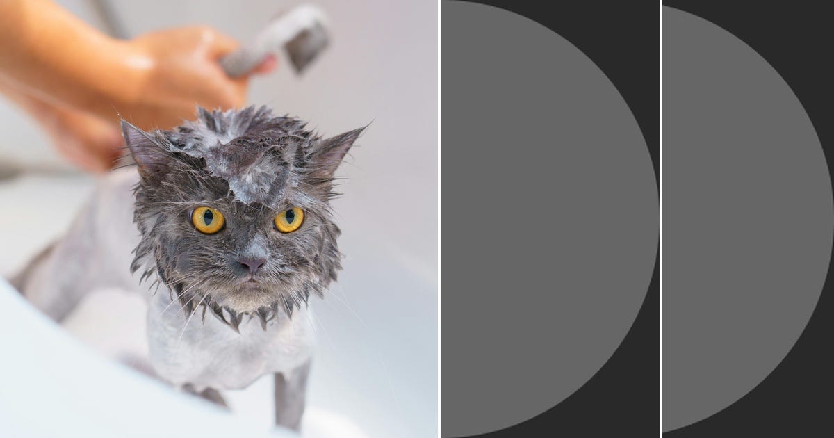 List: Time Series | Curated by Peter Malmkjaer | Medium